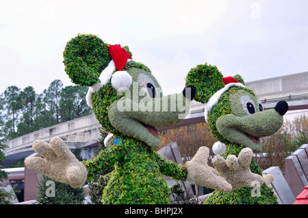 Mickey and Minnie Mouse shaped bushes at Epcot, Disneyworld,Orlando ...