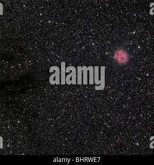 Cocoon Nebula and star clusters in the constellation Cygnus Stock Photo - Alamy