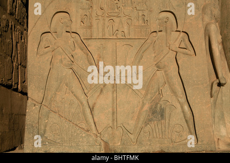 Two flanked relief images of the deity Hapi on pedestal of the seated ...