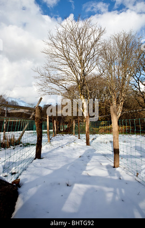 Newly erected Bat Friendly Fencing Stock Photo - Alamy
