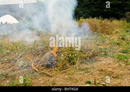smoky garden bonfire fire flame flames flaming fire burn burns burning ...
