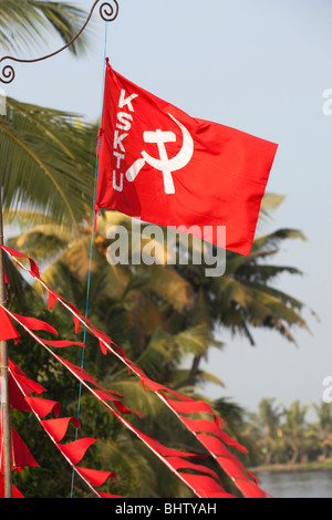 Alappuzha, paddy field, Kerala, South India, Asia Stock Photo - Alamy