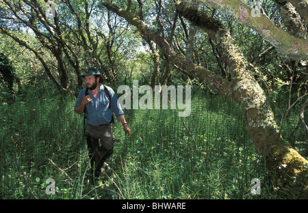 Goss Moor National Nature Reserve Cornwall England Stock Photo - Alamy