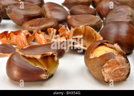 open organic sweet chestnut and white background Stock Photo - Alamy