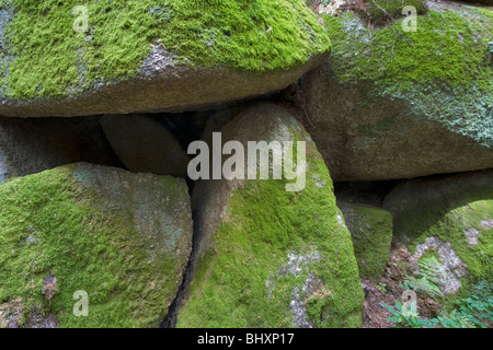 Wobble Stone in a Forest in Lower Bavaria Stock Photo - Alamy