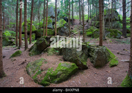 Wobble Stone in a Forest in Lower Bavaria Stock Photo - Alamy