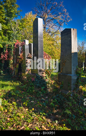 Vienna, Austria. The central cemetery in Vienna. The Jewish department ...