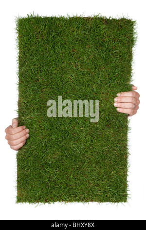 hand of the landscaper on green grass Stock Photo - Alamy