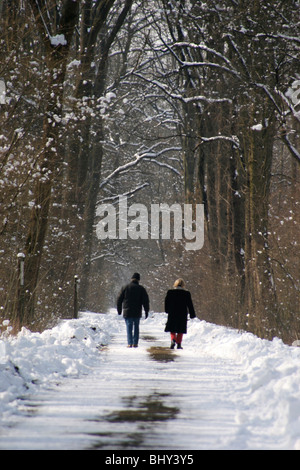 Walkaway in forest Stock Photo - Alamy