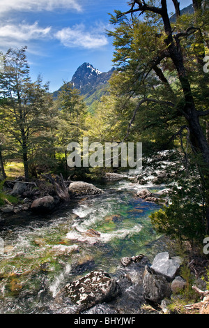 Chile,Villarrica -Lake district-In a Mapuche center special products of ...