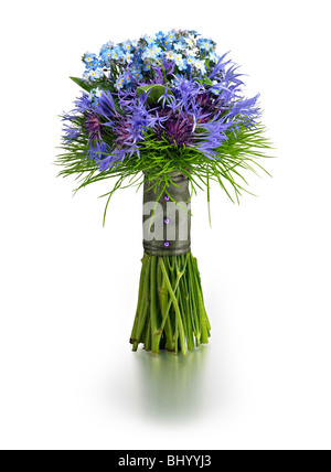 Beautiful pink Forget-me-not flowers isolated on white Stock Photo - Alamy