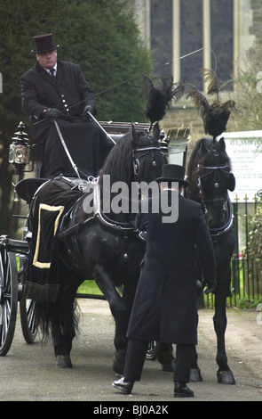Black funeral carriage drawn by two black cart horses with plumes along ...