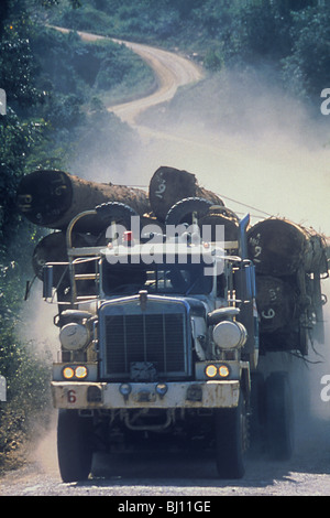 Malaysia. Sabah. Logging. Truck loaded with giant hardwood tree logs ...