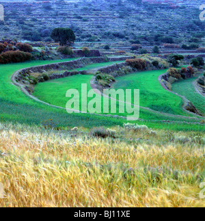Terraced farm fields near As Soudah; Asir Region; Kingdom of Saudi ...