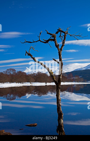 Schiehallion mountain with winter snow capped peaks reflected in Loch ...
