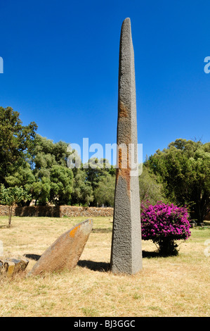 Ethiopia, Tigray, Axum (Aksum), old quarter, house with curved wall at ...