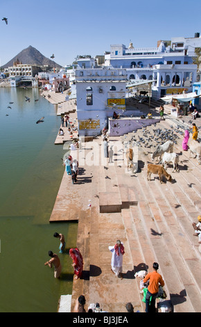 India, Rajasthan, Pushkar, indian pilgrims take a bath in the sacred ...