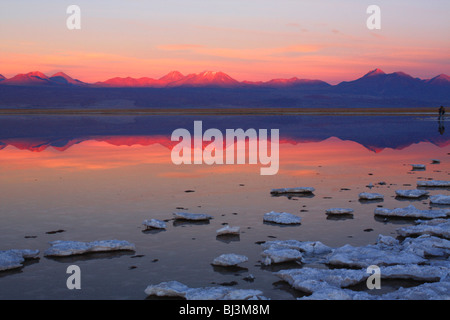 The Red Lagoon in northern Chile Stock Photo - Alamy