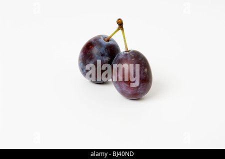 Pair of plums side by side Stock Photo - Alamy