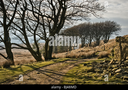 Wheelton Moor and Great Hill, near Brinscall, Chorley, Lancashire Stock ...