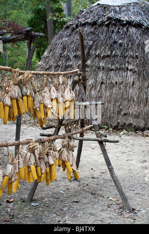 Monacan nation Indian village and dried maize Natural Bridge State Park ...