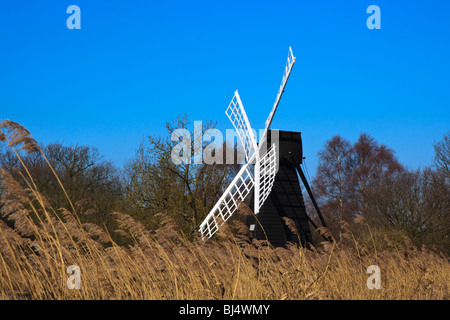 Fenland Wicken Fen Reeds and Windmill Stock Photo: 78576811 - Alamy