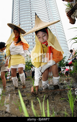Tokyo residents dressed in traditional garb plant rice in a rice paddy ...