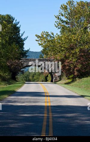 An image of colorful trees under the bridge Stock Photo - Alamy