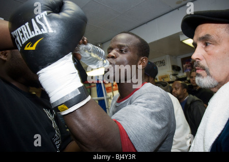 Professional welterweight boxer Joshua Clottey works out at Kingsway ...
