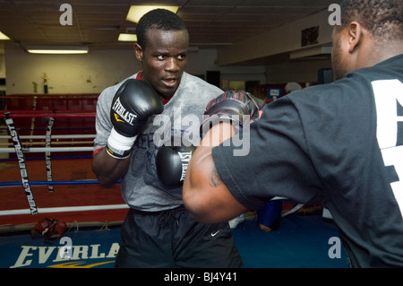 Professional welterweight boxer Joshua Clottey works out at Kingsway ...