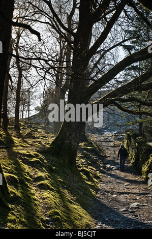 A hiker walking up a hill near the mountains on a beautiful day Stock ...