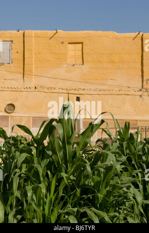 Architecture and decorations of buildings in a Nubian village shop on ...
