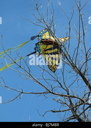 A kite caught in a tree Stock Photo - Alamy