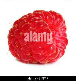 one red macro raspberry over white background studio shot Stock Photo ...