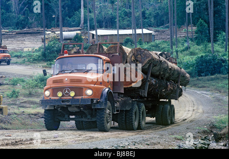 Logging trucks in Sabah Malaysia Stock Photo - Alamy