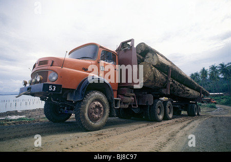 Logging trucks in Sabah Malaysia Stock Photo - Alamy
