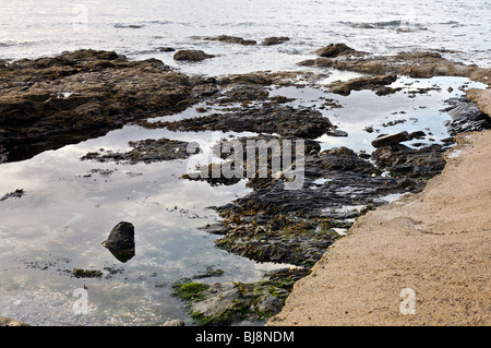 Rock Pools and Pebbles Stock Photo - Alamy