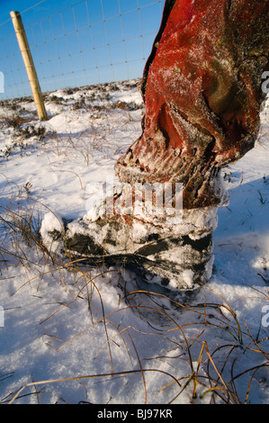 Snow, winter landscape, Red Moor, Rhön, Hesse, Germany, Europe Stock ...