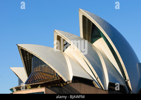 Famous iconic white curved roof arches of the Sydney Opera House in ...