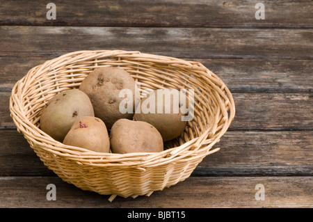 Foremost, first early crop seed potatoes in a basket Stock Photo - Alamy
