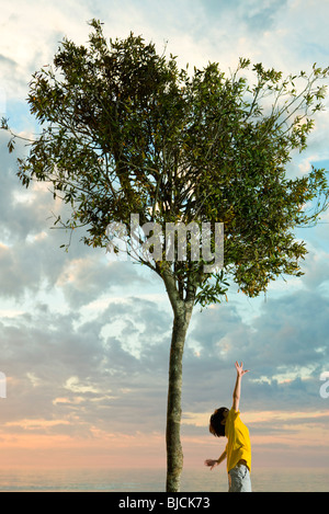 Beneath the tree Stock Photo - Alamy