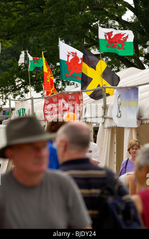 Visitors at the National Eisteddfod festival of Welsh culture and ...
