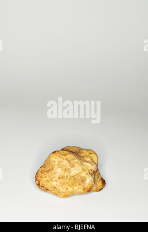 truffle with pasta Stock Photo - Alamy