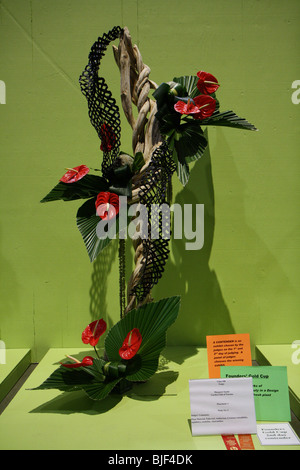 Canada anthurium aspidistra bloom event flower garden musa show Stock ...