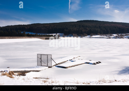 carron valley reservoir Stirlingshire Scotland" "crossbill" "carron ...