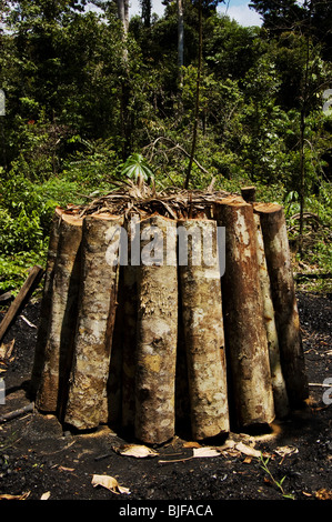 A pile of wood for making charcoal Stock Photo - Alamy