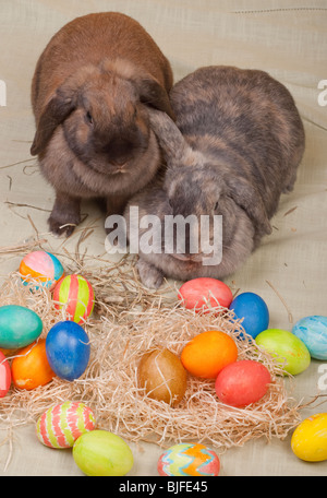 Two Easter bunny with colorful painted eggs Stock Photo - Alamy