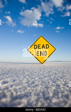 A Dead End Sign In The Middle Of A Barren Desert Wilderness, With Copy ...