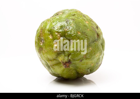Ugly Fruit or Jara Lemon isolated on white background Stock Photo - Alamy