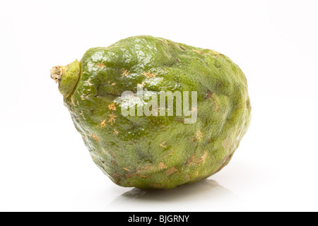 Ugly Fruit or Jara Lemon isolated on white background Stock Photo - Alamy